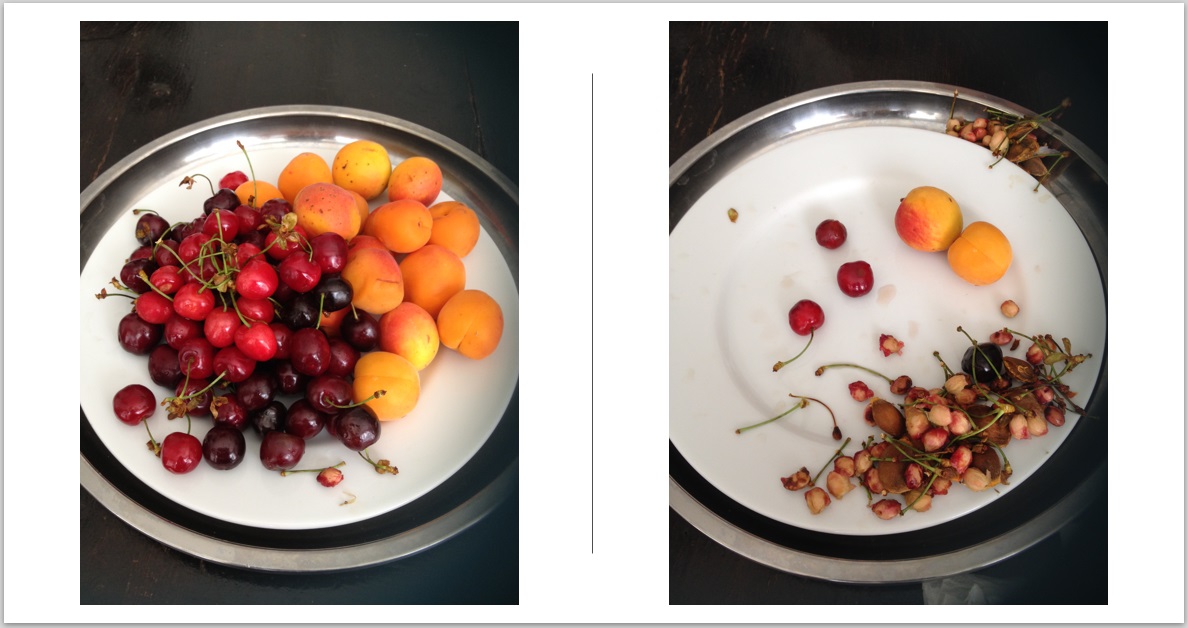 Maroc : le pays des mille et une nuits — Alexia Tiga