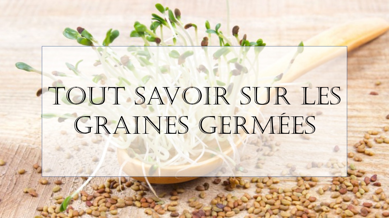 Tout savoir sur les graines germées — Alexia Tiga — Naturopathe