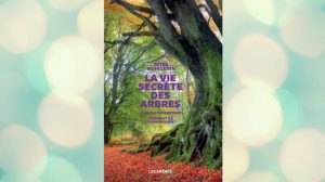 La vie secrète des arbres — Lecture — Alexia Tiga